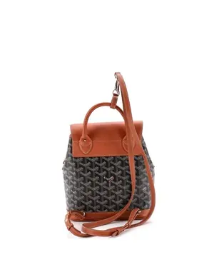 Goyard Alpin Backpack Coated Canvas
