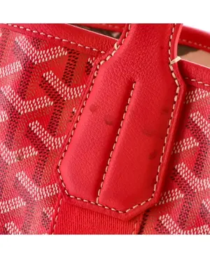 Goyard Pm Belharra Tote Coated Canvas