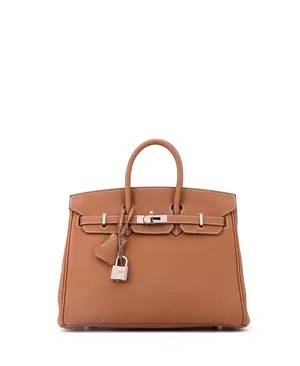 Hermès Birkin 25 Handbag Brown Togo With Palladium Hardware - Gold