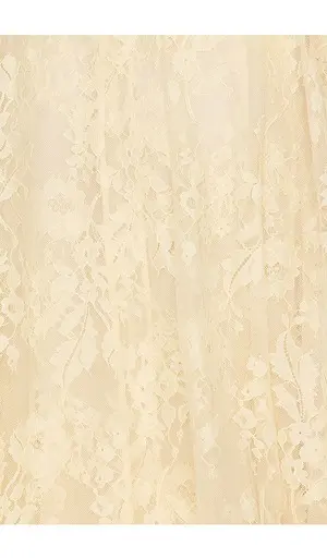 Zimmermann Lace Caped Maxi Dress