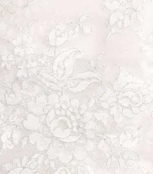 Rosamosario Silk Lace Robe