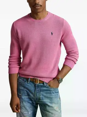 Polo Ralph Lauren Pony Embroidered Sweater