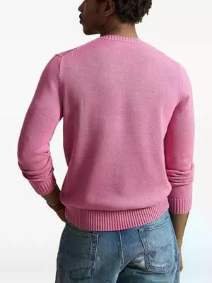 Polo Ralph Lauren Pony Embroidered Sweater