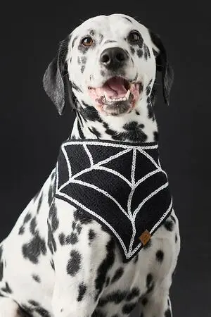 THE FOGGY DOG Spiderweb Crochet Pet Bandana