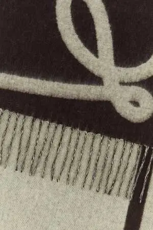 Loewe Wool Blend Scarf - Brown