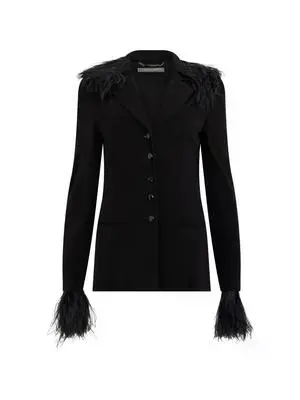 Alberta Ferretti Feather-trim Lapel-neck Blazer - Black