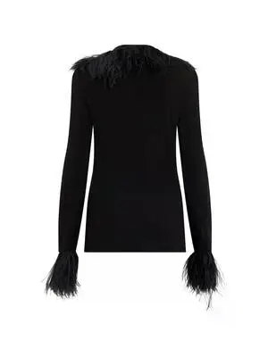 Alberta Ferretti Feather-trim Lapel-neck Blazer