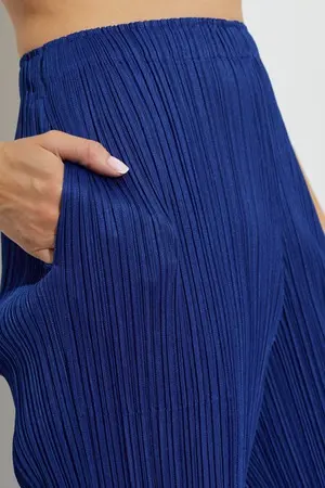Issey Miyake Pleated Trousers