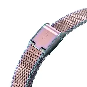 Lilienthal Berlin Mesh Rainbow Brushed Watch Strap