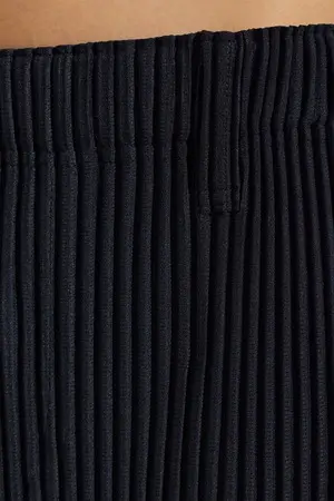 Issey Miyake Pleated Trousers