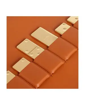 Celine Domino Case In Triomphe Canvas And Lambskin