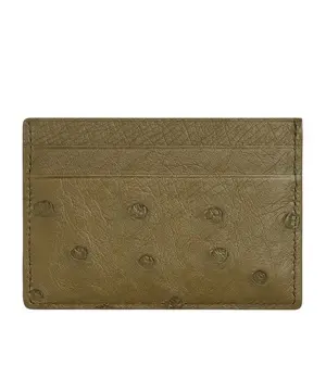Bottega Veneta Ostrich Credit Card Case - Green-haired