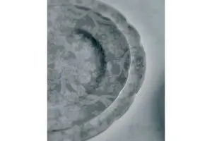 Dior Printed Porcelain Dinner Plate