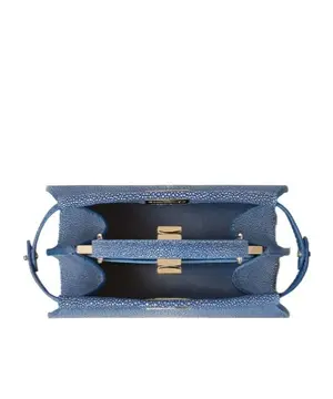 Fendi Peekaboo Iseeu Petite Stingray Bag