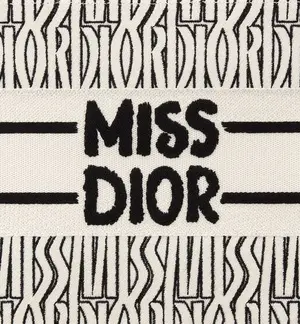 Dior Medium Logo Handbag