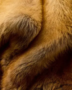 Saint Laurent Short Shearling Coat