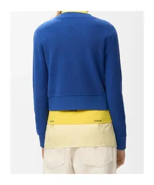Loewe Long-sleeved Wool Knit Top