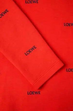 Loewe Long-sleeve Knit Top With All-over Embroidery