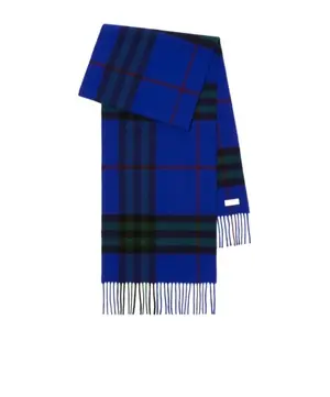 Burberry Checked Fringed-edge Scarf - Knight