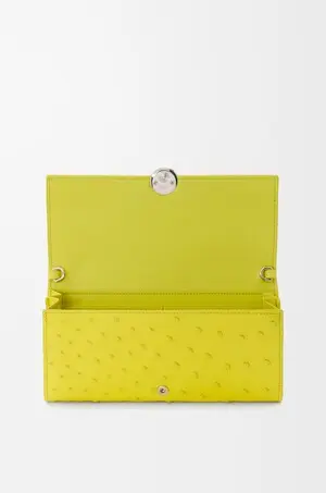 Loewe Ostrich Pebble Wallet On Chain