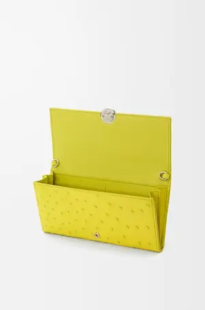 Loewe Ostrich Pebble Wallet On Chain