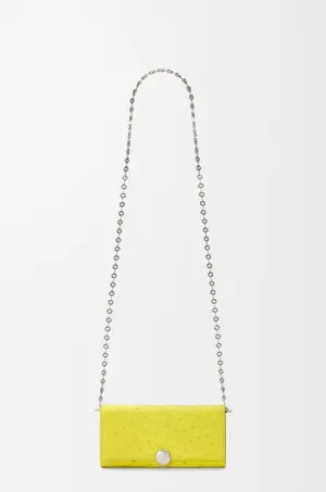 Loewe Ostrich Pebble Wallet On Chain