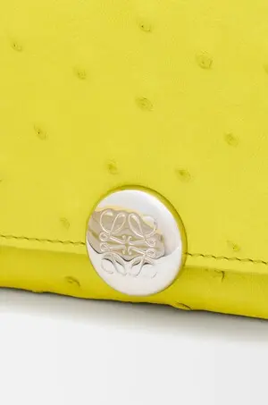 Loewe Ostrich Pebble Wallet On Chain