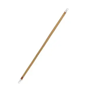 Loewe Woven Strap In Leather - Multicolor/pecan