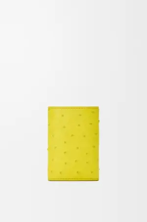 Loewe Pebble Small Vertical Wallet In Ostrich