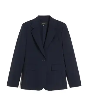 Max Mara Lamine Single-breasted Tailored Blazer