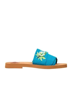 Chloé Stylish And Versatile Flat Mules - Multicolor