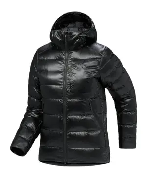 Arc'teryx Cerium Sv Hoody