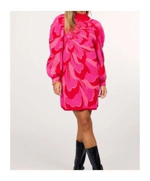 Farm Rio Long Sleeve Printed Knit Dress