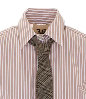 ANIYE BY Striped Shirt With Classic Collar And Curved Hem