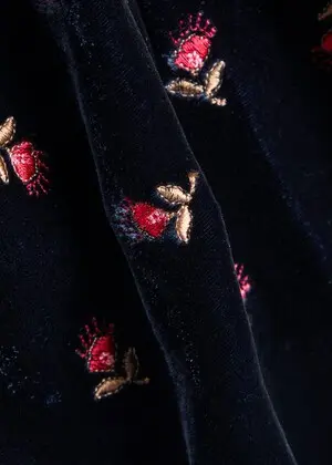 Rixo Calla Floral-embroidered Velvet Mini Dress