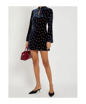 Rixo Calla Floral-embroidered Velvet Mini Dress