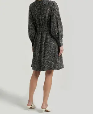 Isabel Marant Étoile Polka Dot Silk Dress