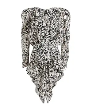 Isabel Marant Étoile Zebra Print V-neck Long Sleeve Dress