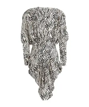 Isabel Marant Étoile Zebra Print V-neck Long Sleeve Dress
