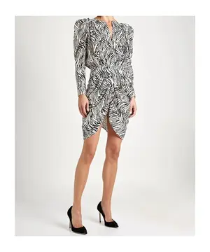 Isabel Marant Étoile Zebra Print V-neck Long Sleeve Dress