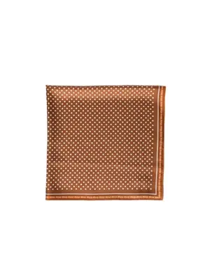 Miu Miu Printed Silk Scarf - Brown
