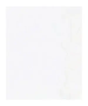 Max Mara Printed Short-sleeve T-shirt