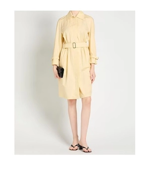Max Mara Belted Shirt Dress