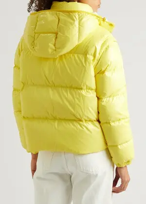 Moncler Detachable Hood Down Jacket