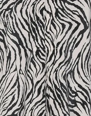 Isabel Marant Étoile Printed Zebra Blouse