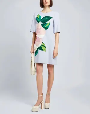 Dolce & Gabbana Floral Print Flared Dress
