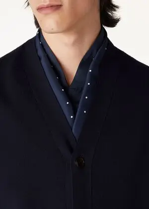 Loro Piana Dot Printed Scarf