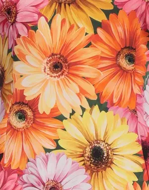 Dolce & Gabbana Floral Print Short Sleeve Top