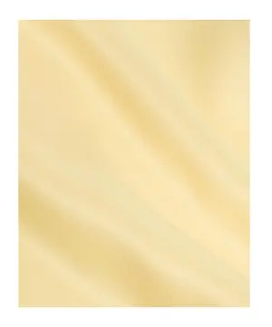 Vince Satin Crewneck Top With Raw-edged Trims