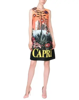 Dolce & Gabbana Sleeveless Embellished Flared Dress